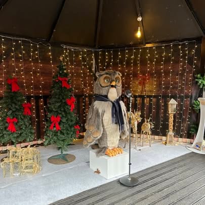 Blakemere Christmas Owl - Blakemere Village